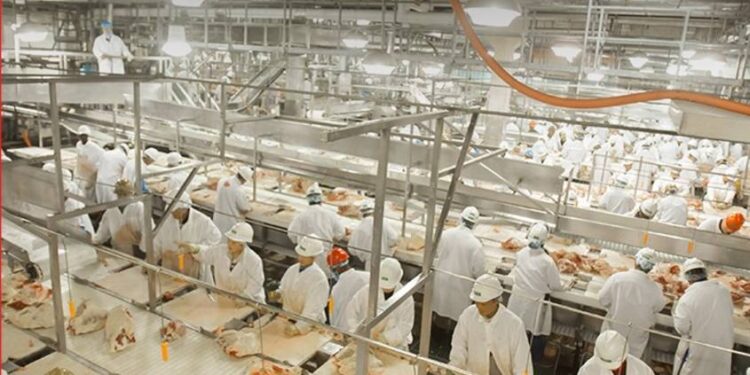 JBS Australia starts building scone facility bioenergy system - World ...