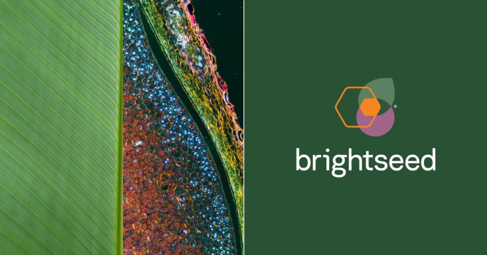 Brightseed and Haleon to accelerate plant-based innovation using AI - World Bio Market Insights
