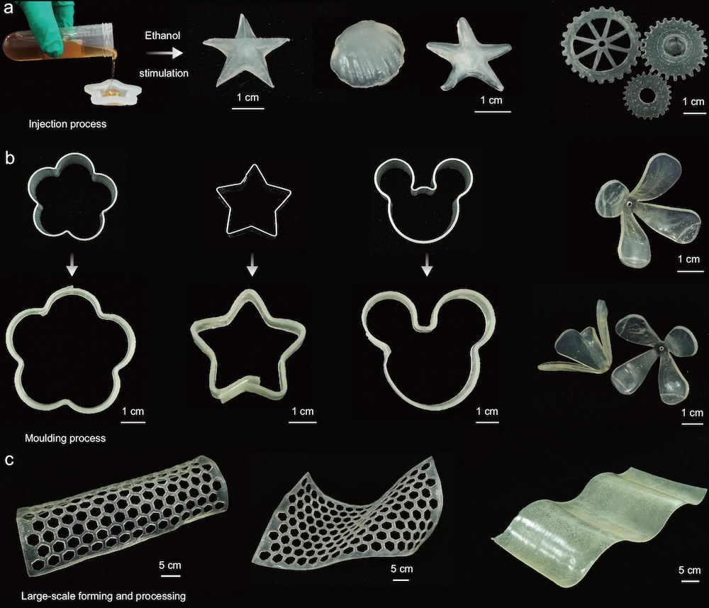 New bamboo bioplastic offers strong alternative to traditional plastics ...