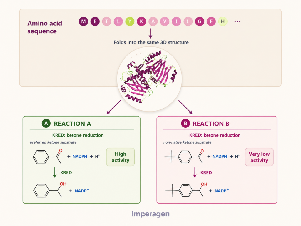 Why AI can't engineer enzymes alone - World Bio Market Insights